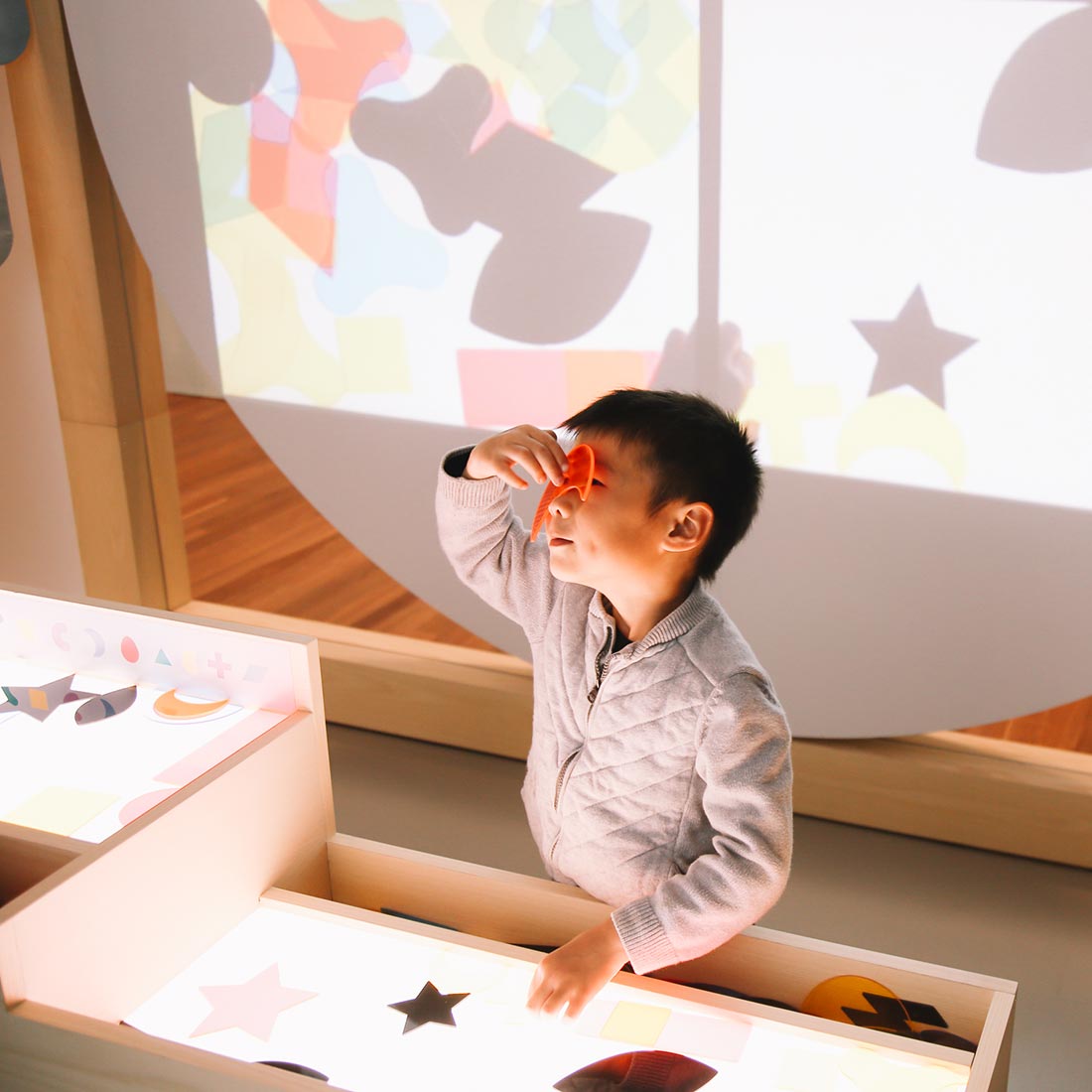 FAMSF Museum Fund
